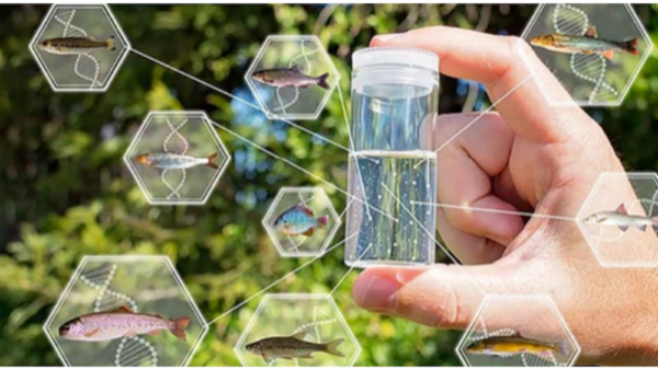 Biomonitoring Of Aquatic Ecosystems Using Genetic Methods Lifewatch Eric